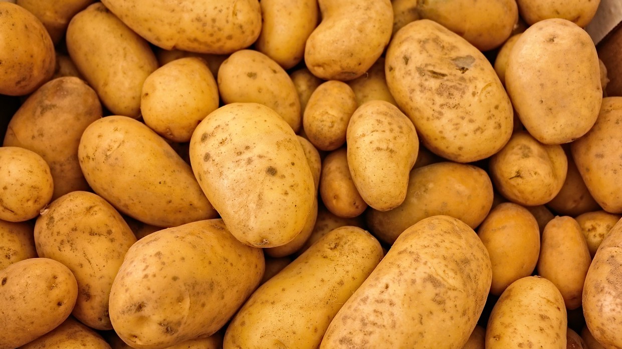 P.E.I. Potato Board Decries Export Ban - Huddle.Today