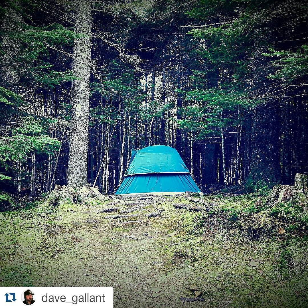 What Dave Gallant is Loving Today - Huddle.Today