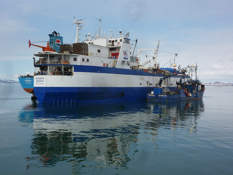 How Cooke Aquaculture Became a Big Fish from a Small Pond - Huddle.Today