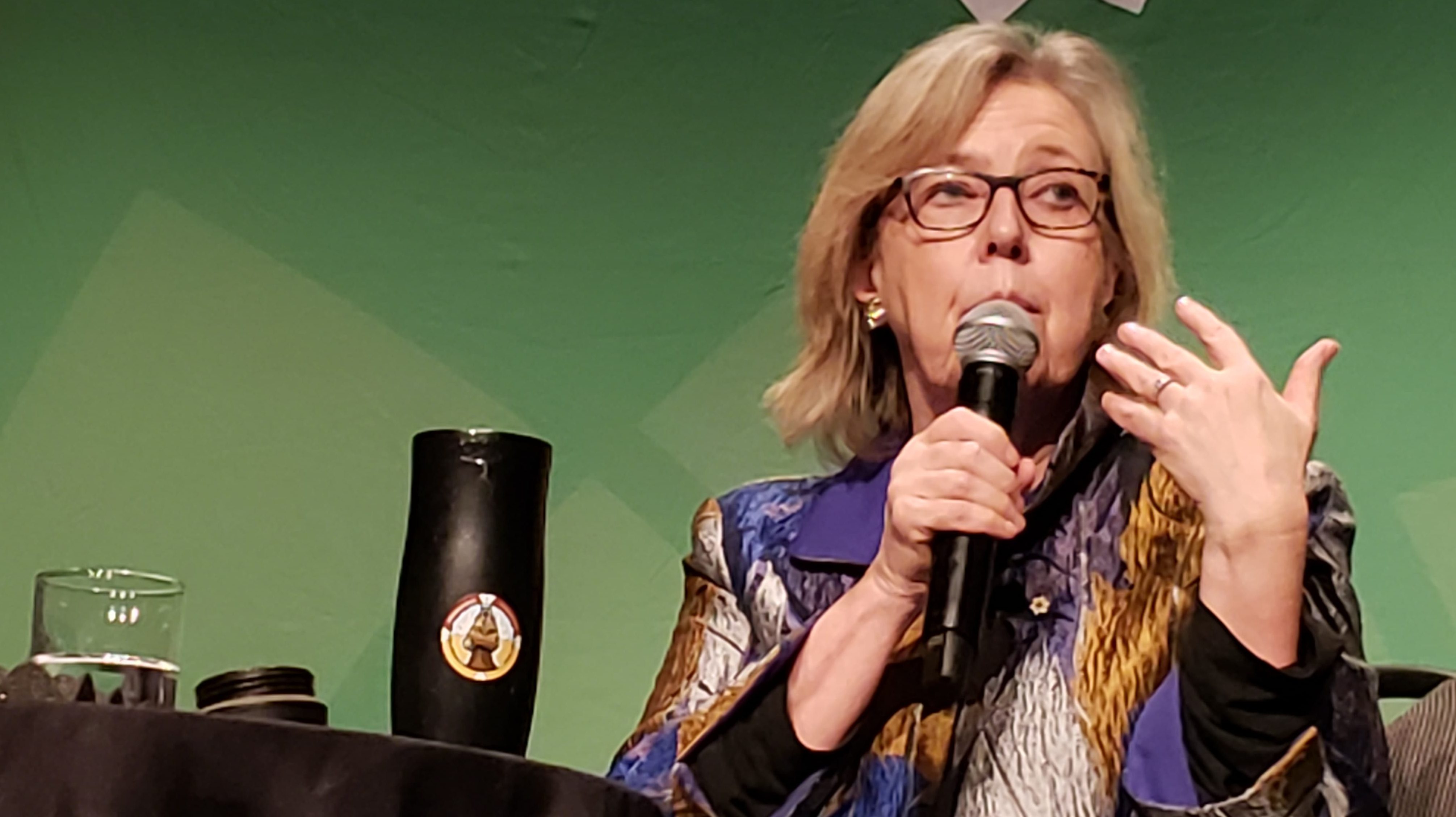 Federal Green Party Leader Says 'No' To Fracking, 'Yes' To Renewable ...
