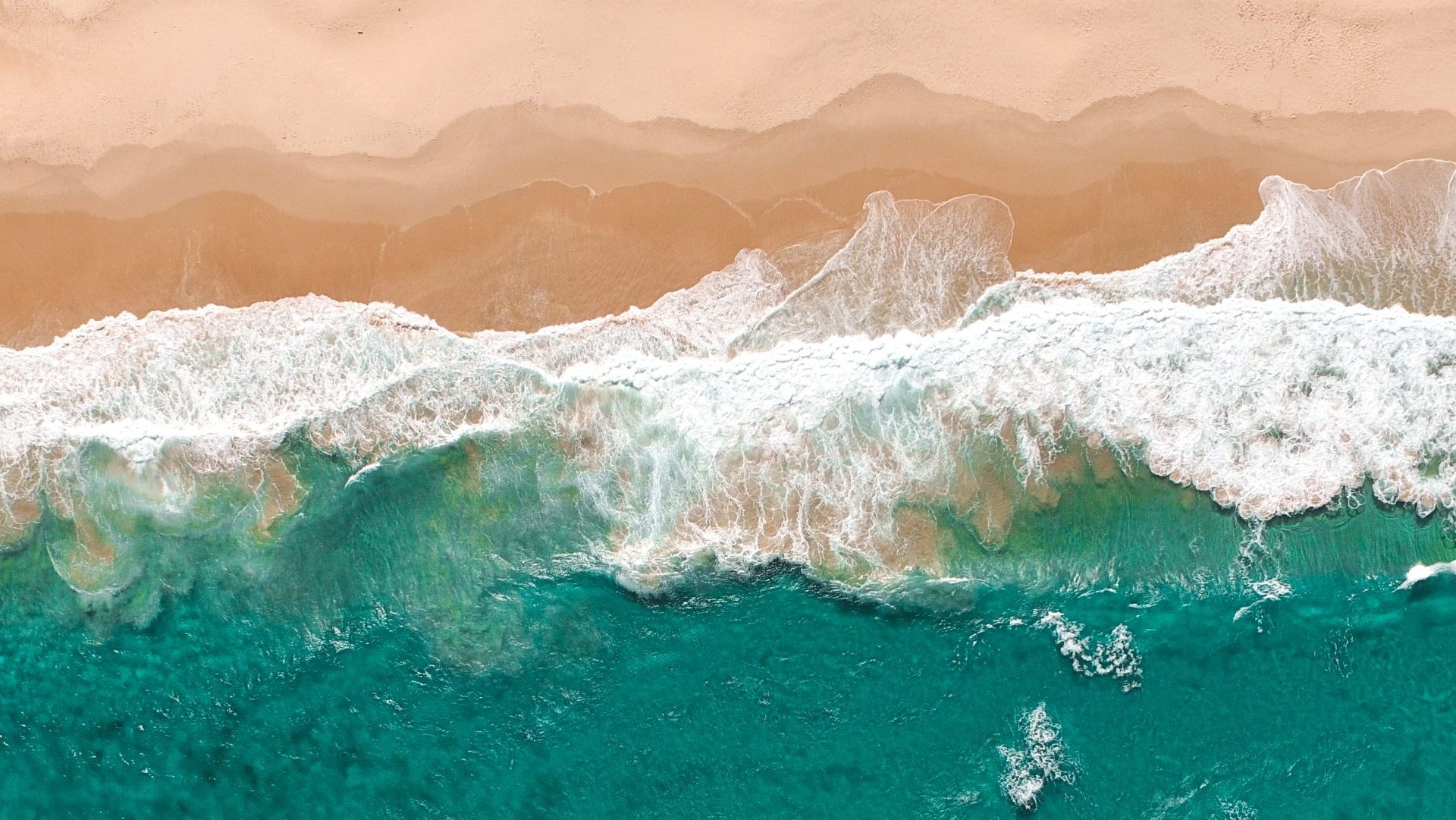 Ocean Startup Project Invests $1.4-Million In 40 Ocean Tech Companies ...