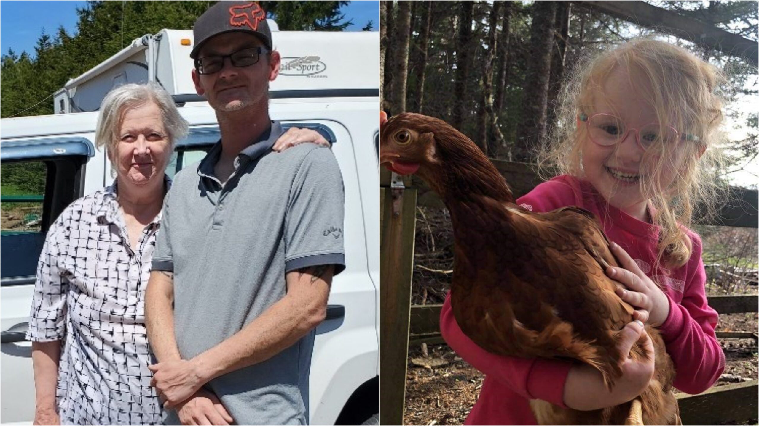 The N.S. Business Turning Urban Professionals Into Chicken Owners ...