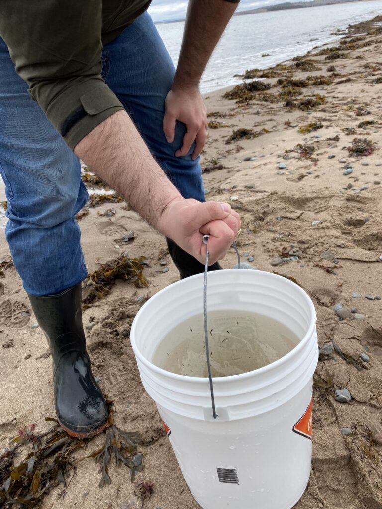 Tidal Salt Is Exporting Pieces of Nova Scotia Around The World - Huddle ...
