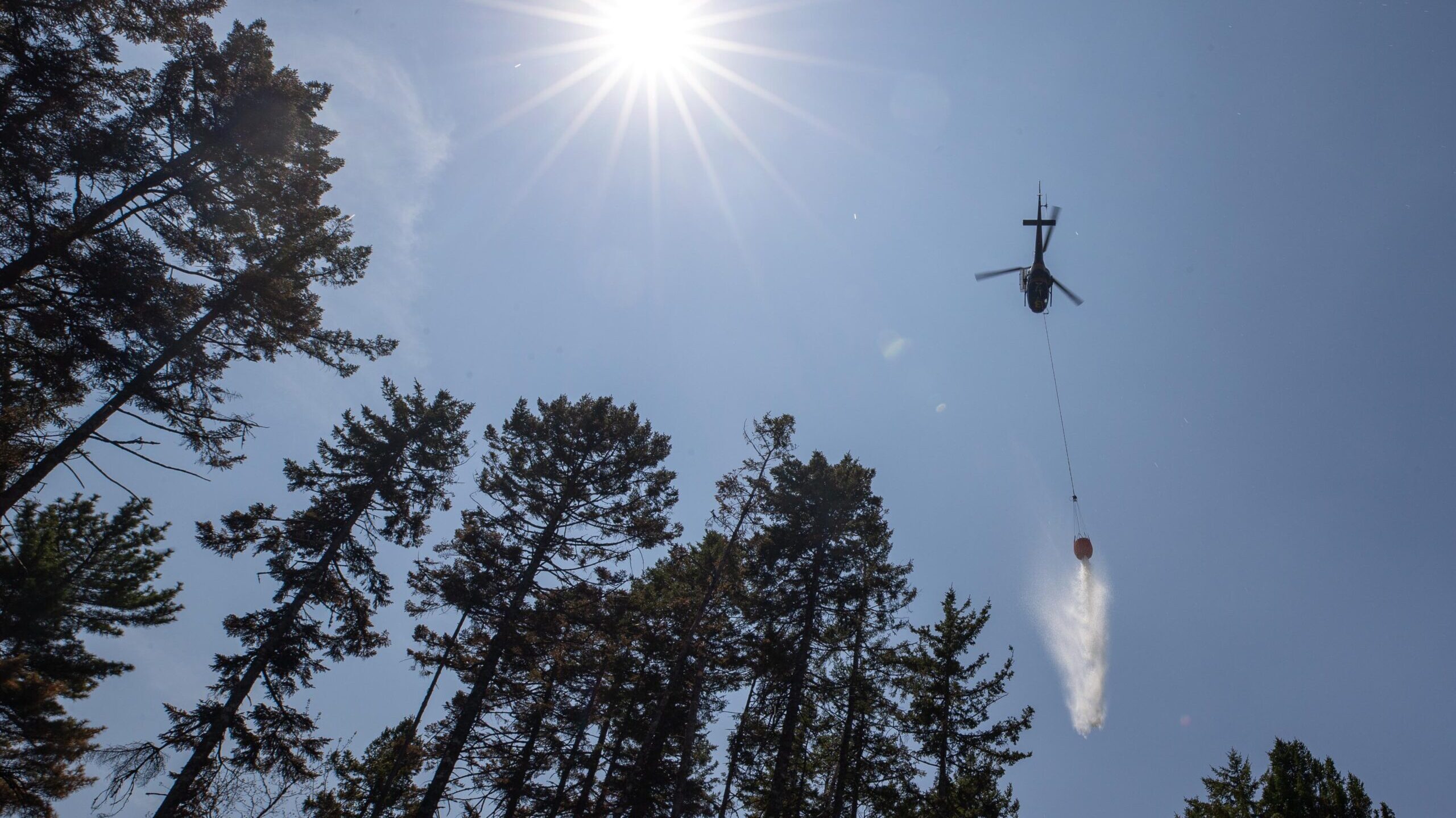 Halifax Businesses Step up with Support During Wildfires - Huddle.Today